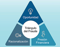 La Auditoría Forense como instrumento de investigación para combatir ...